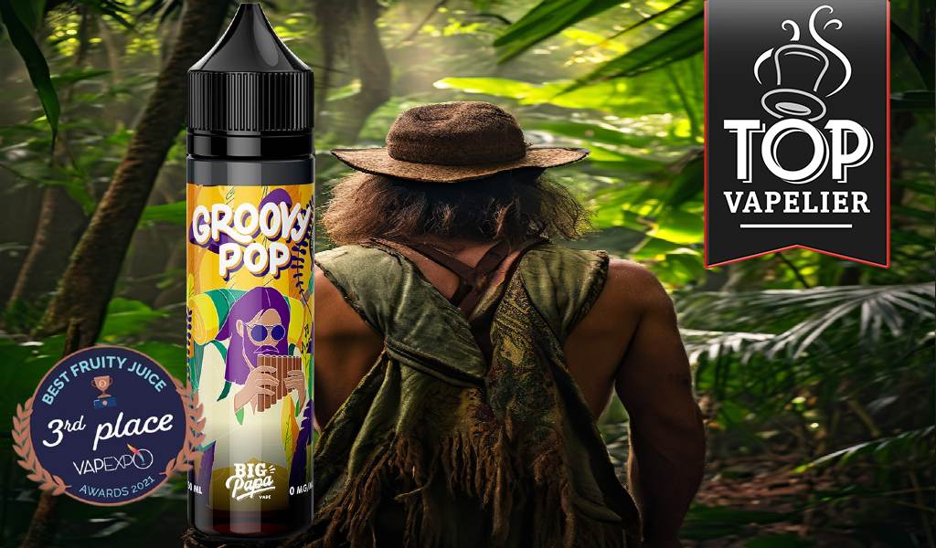 الاختبارات والمراجعة: Groovy Pop (نطاق صوت الآباء المؤسسين) بقلم Big ...